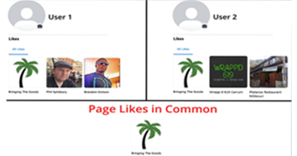 Facebook Common Page Likes Checker - Peter Stavrou